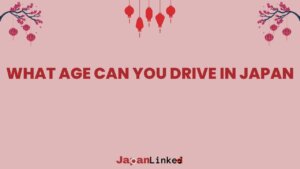What Age Can You Drive in Japan? A Complete Guide to Legal Driving Ages ...